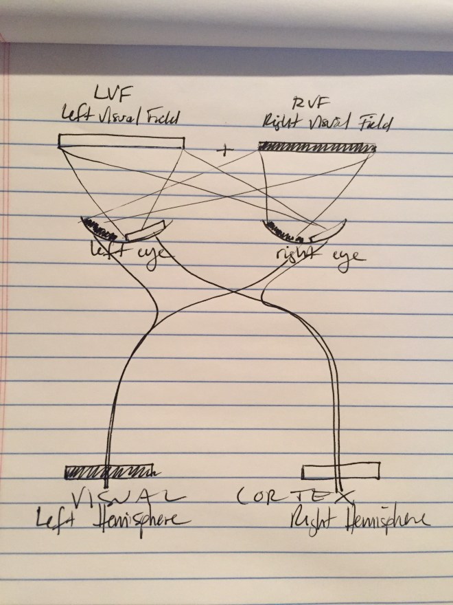 Left and right – visualparticles.org